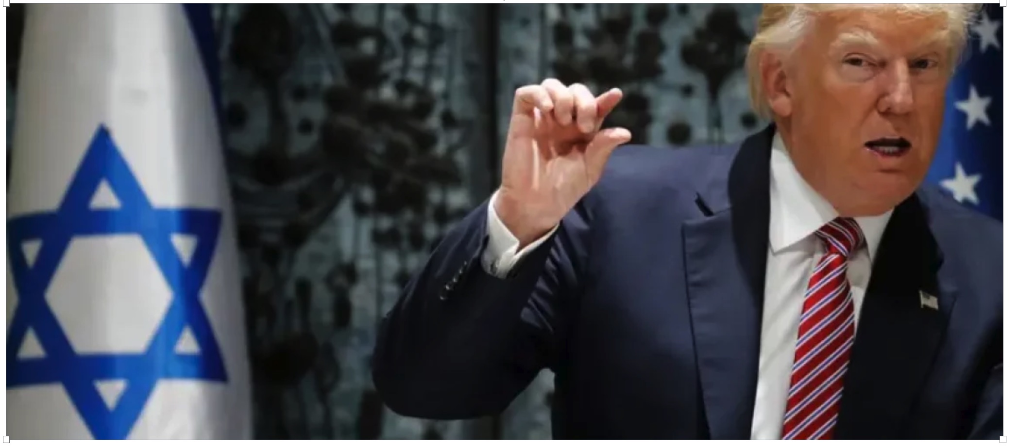 Joachim Hagopian, Trump’s ZOG Roundup in Gulag Amerika - James H. Fetzer