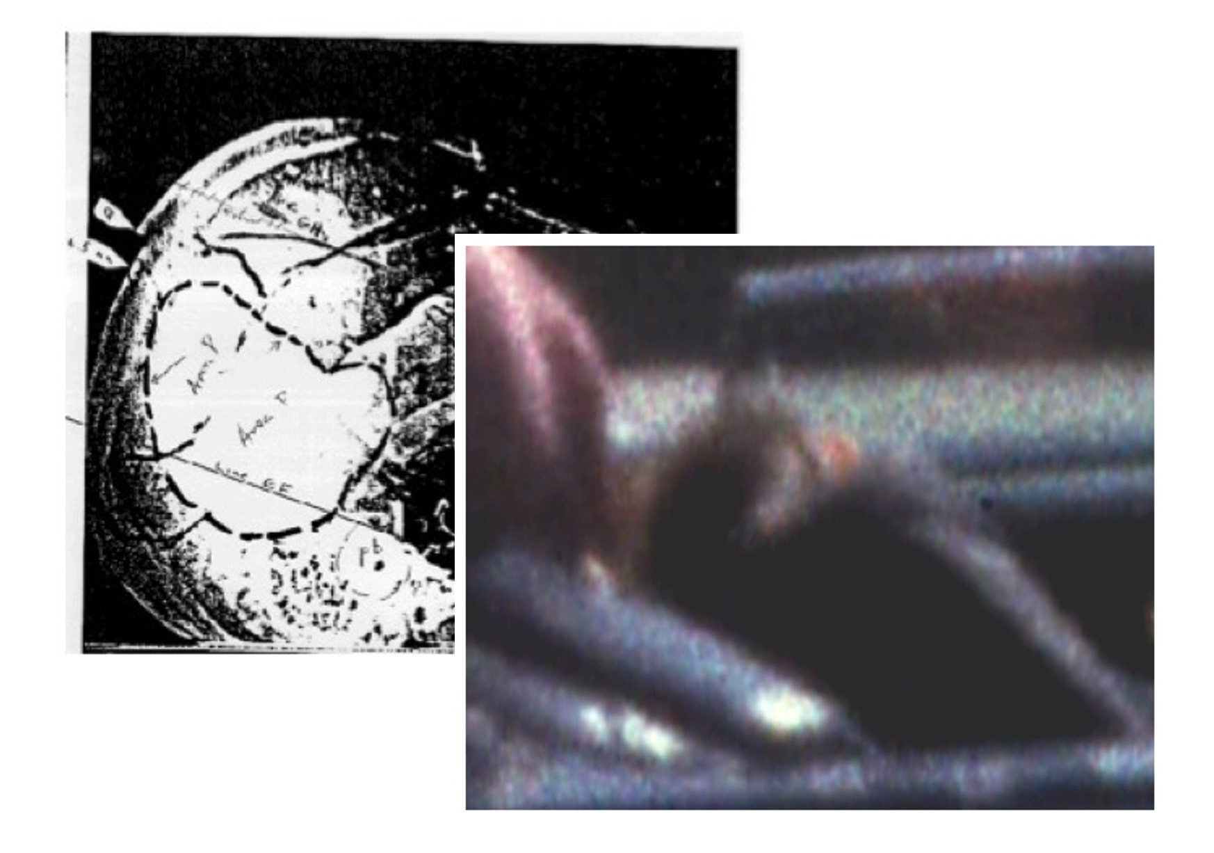 Everything you ever wanted to know about “conspiracy theories” but were ...