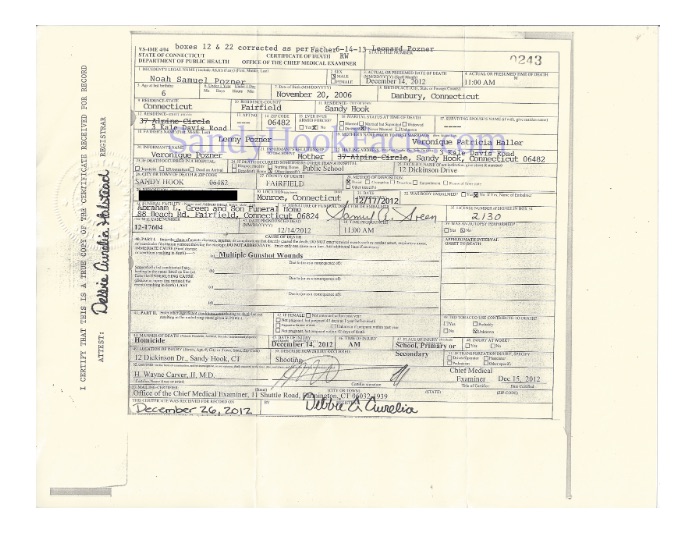 Sandy Hook Lawsuit Discovery: Request for Admissions from Plaintiff ...