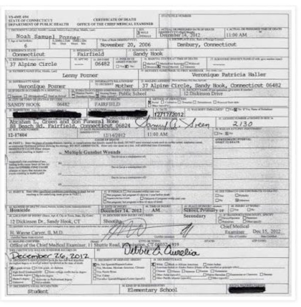 Sandy Hook Lawsuit Discovery: Request for Admissions from Plaintiff Leonard Pozner - James H. Fetzer