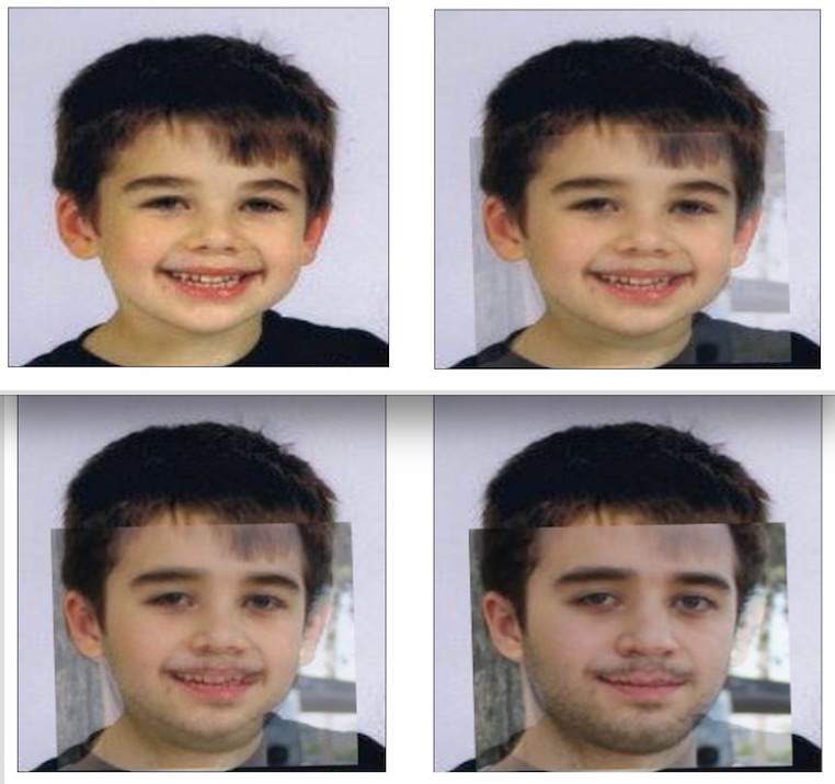 Mona Alexis Pressley, A Picture is Worth a Thousand Words - James H. Fetzer