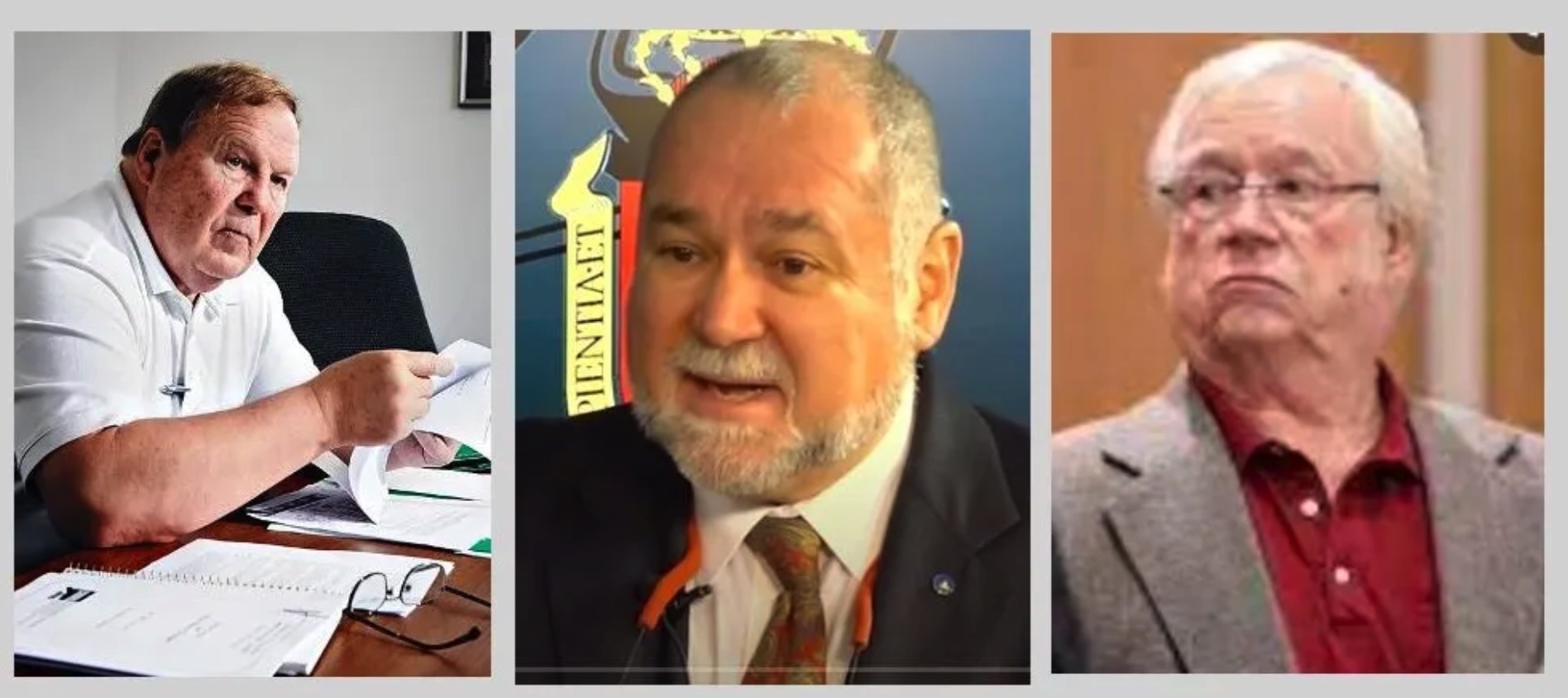 Mary Maxwell, Sandy Hook: The Paucity of Evidence - James H. Fetzer