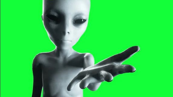 William de Berg, The Late, Once-Great American Judiciary - James H. Fetzer