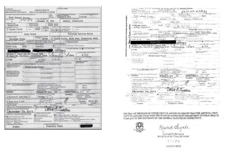 SANDY HOOK "Pozner v. Fetzer" Lawsuit: Defendant Fetzer's Proposed ...