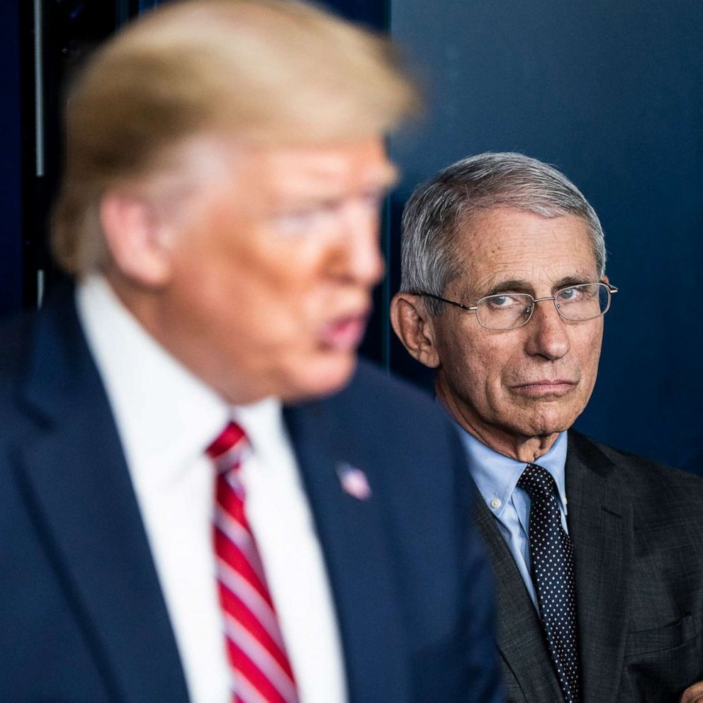 Stephen Eric Bronner, Afghanistan's Footprint - James H. Fetzer